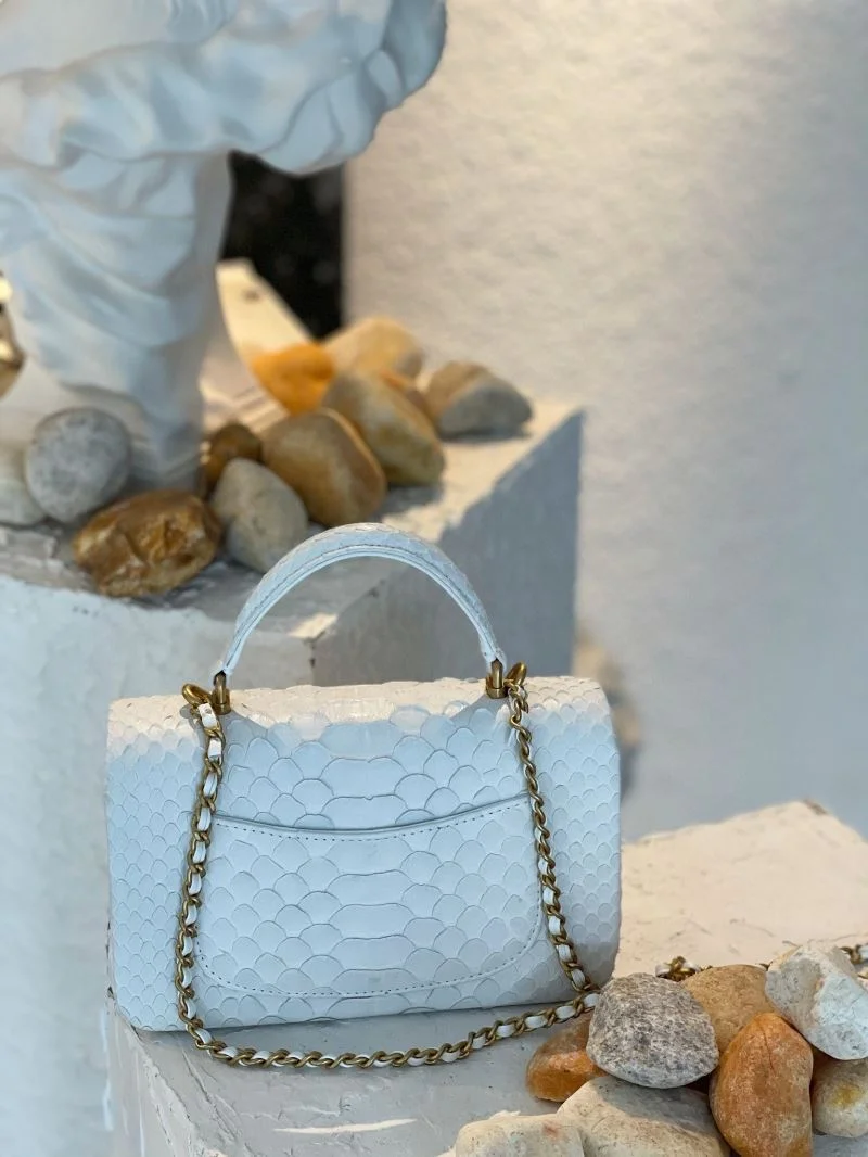 Budget-friendly Chanel CF Series Bags
