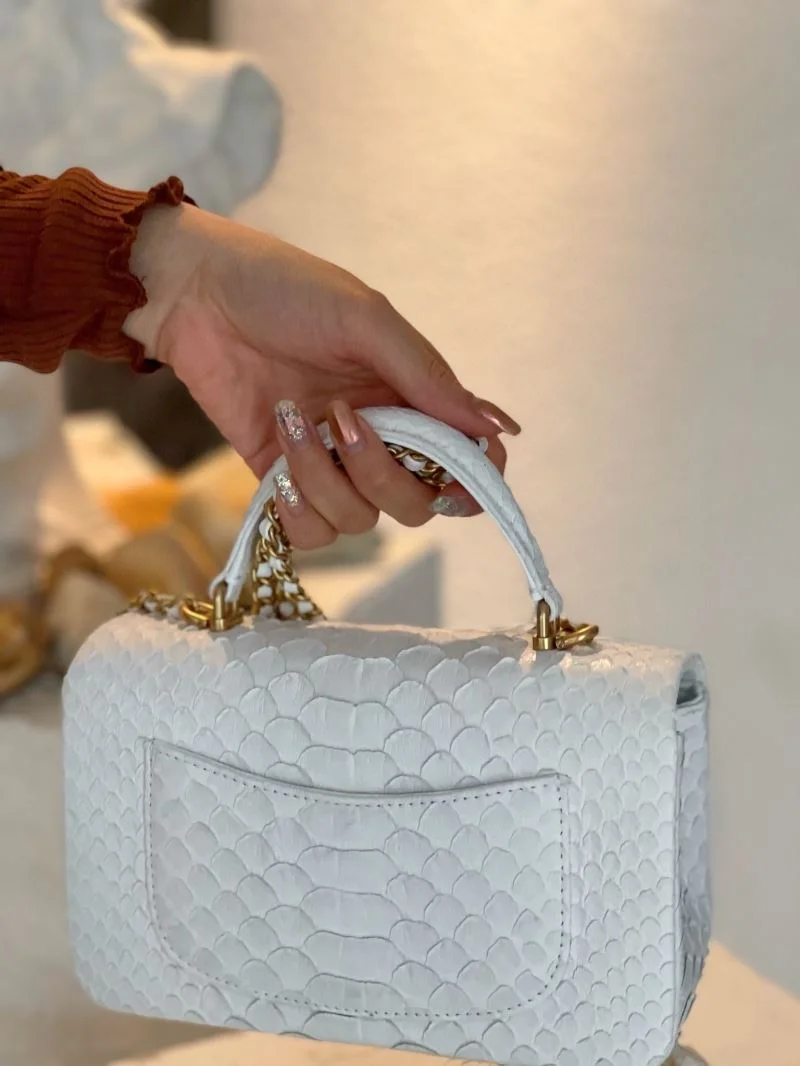 Budget-friendly Chanel CF Series Bags