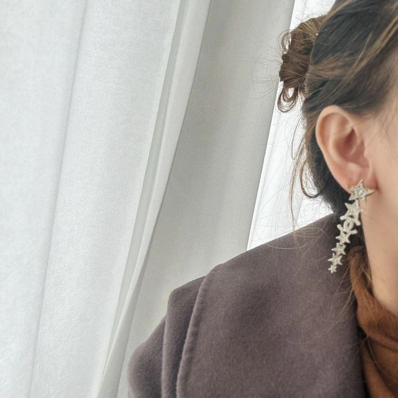 Mirror quality Chanel Earrings