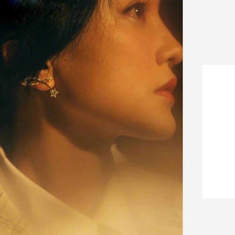 High accuracy Chanel Earrings