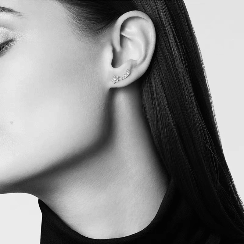 High accuracy Chanel Earrings