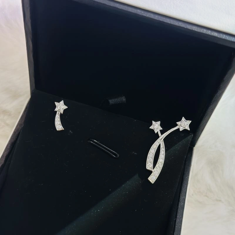 High accuracy Chanel Earrings