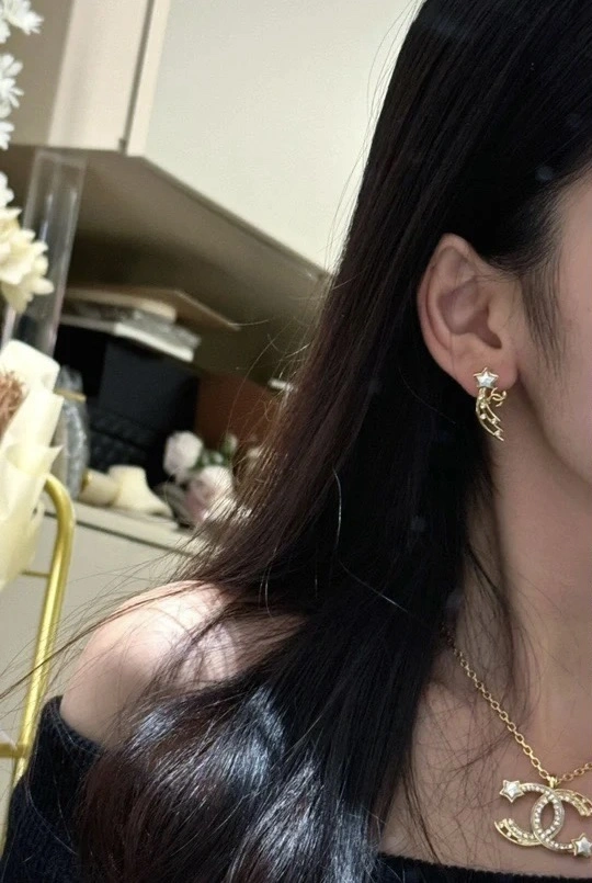 Mirror quality Chanel Earrings