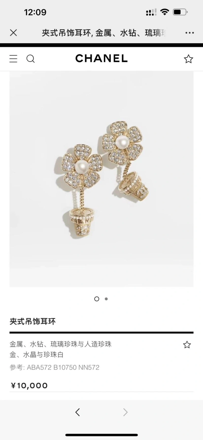 Economical Chanel Earrings