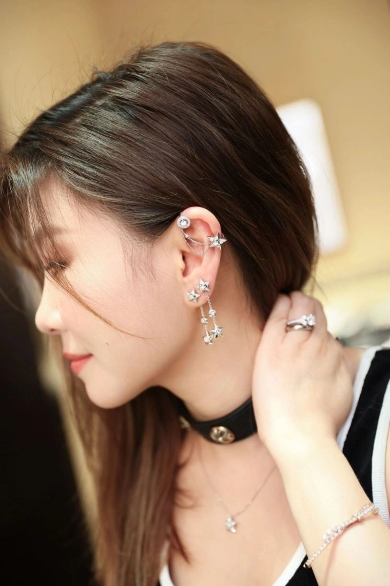 Precise copy Chanel Earrings