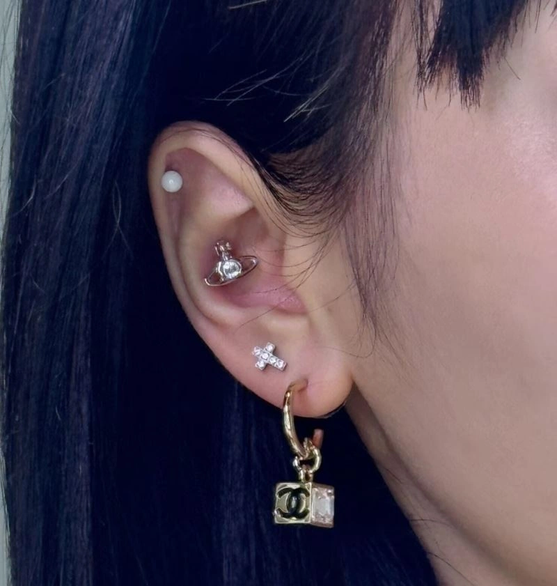 Mirror quality Chanel Earrings