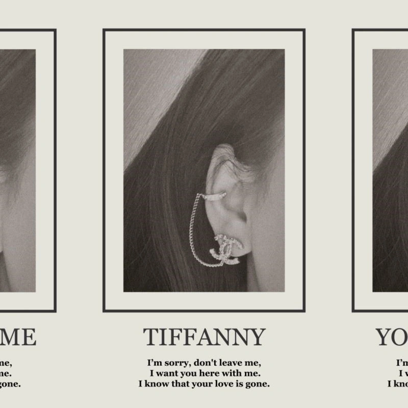 Official Chanel Earrings