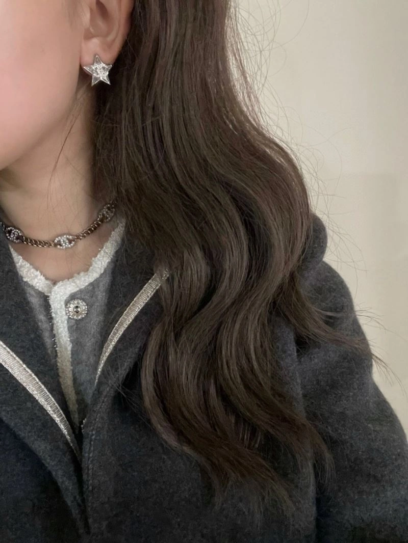 Mirror quality Chanel Earrings