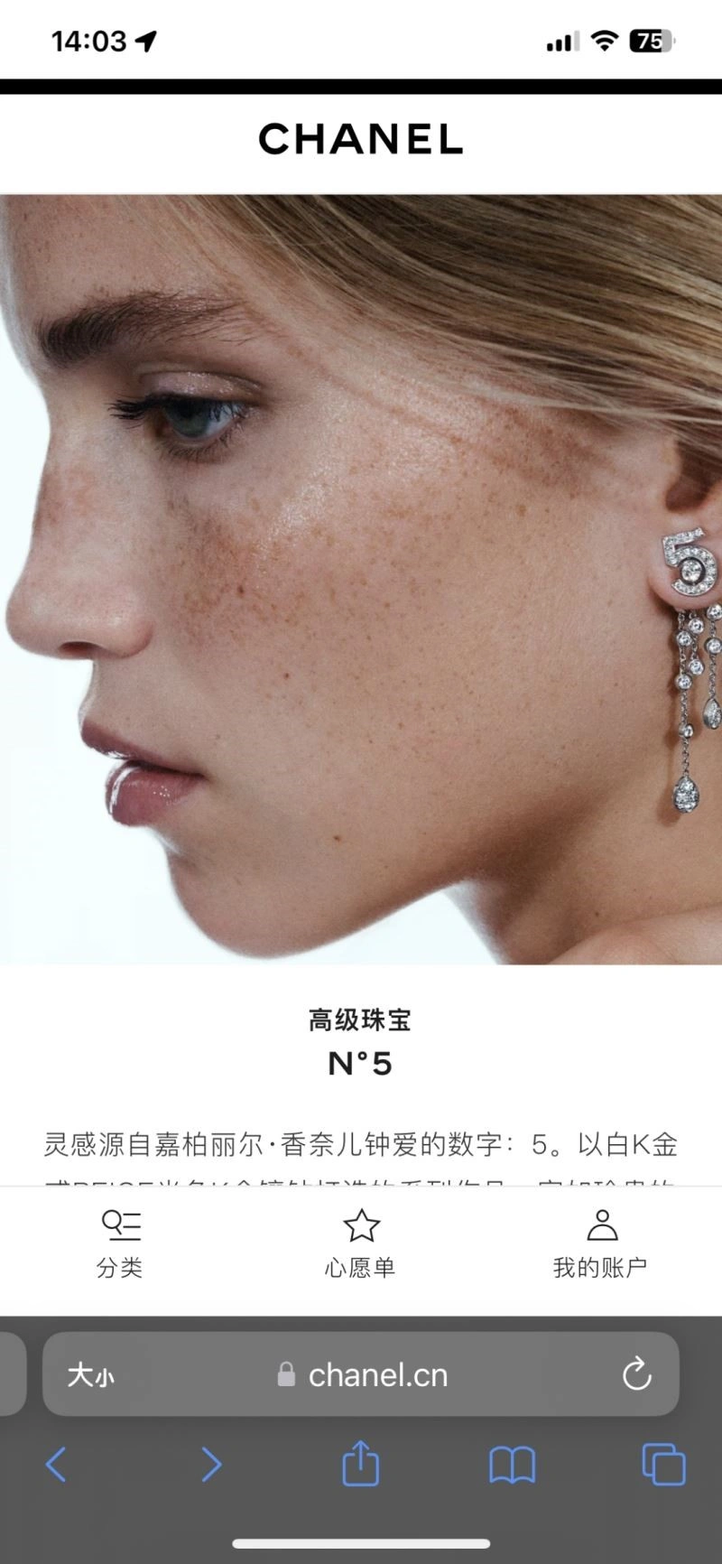 Real Chanel Earrings