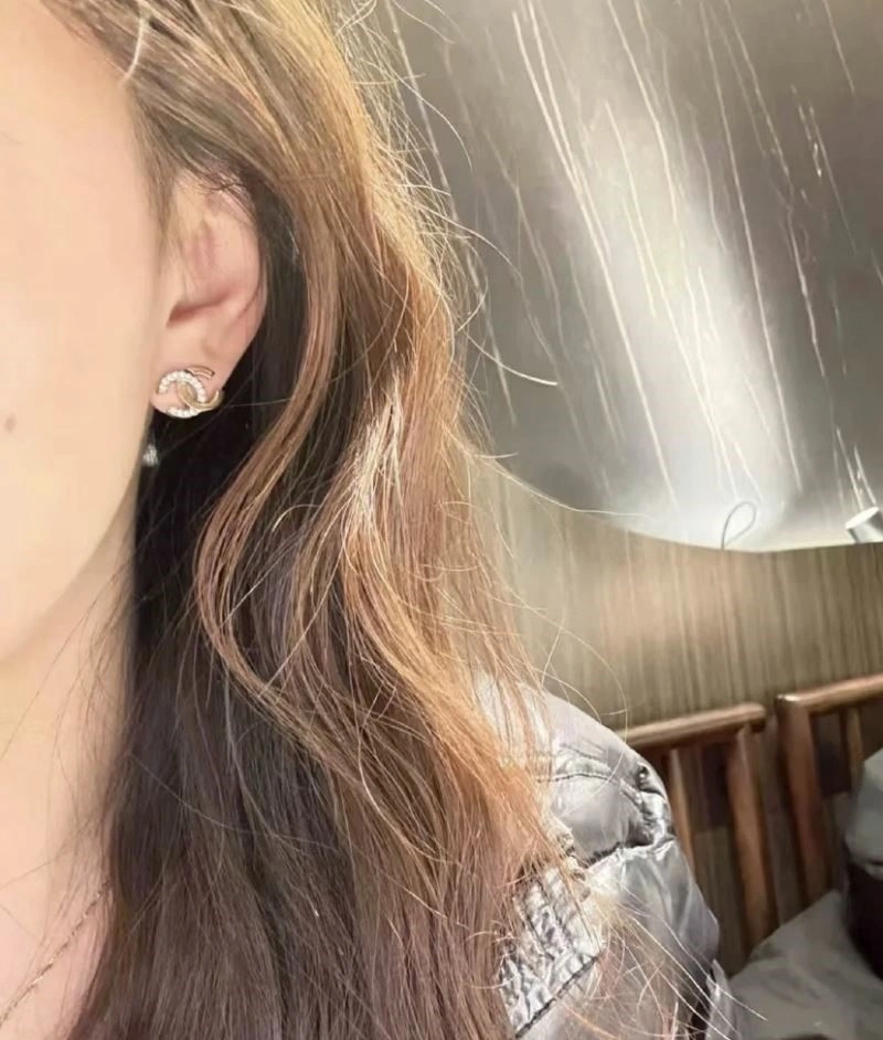 Mirror quality Chanel Earrings