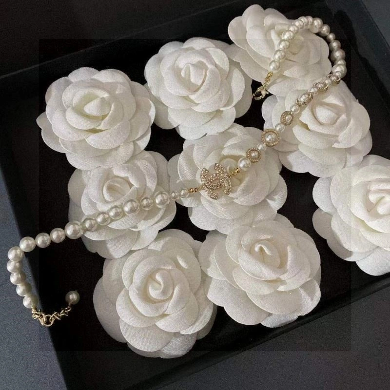 Reasonably priced Chanel Earrings