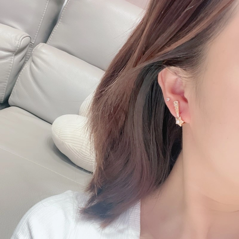 Affordable Chanel Earrings