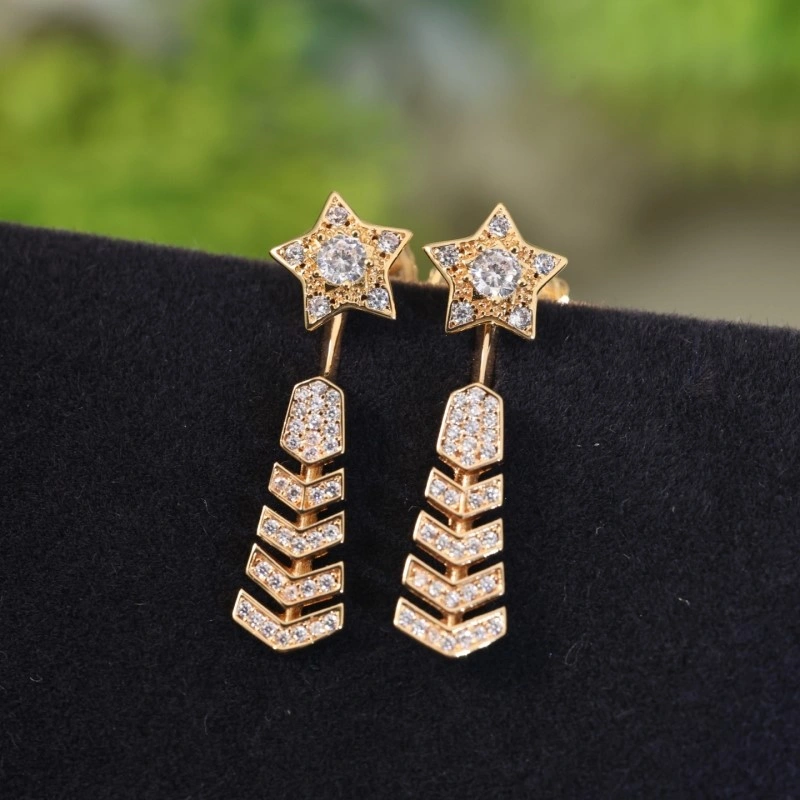 Value-priced Chanel Earrings