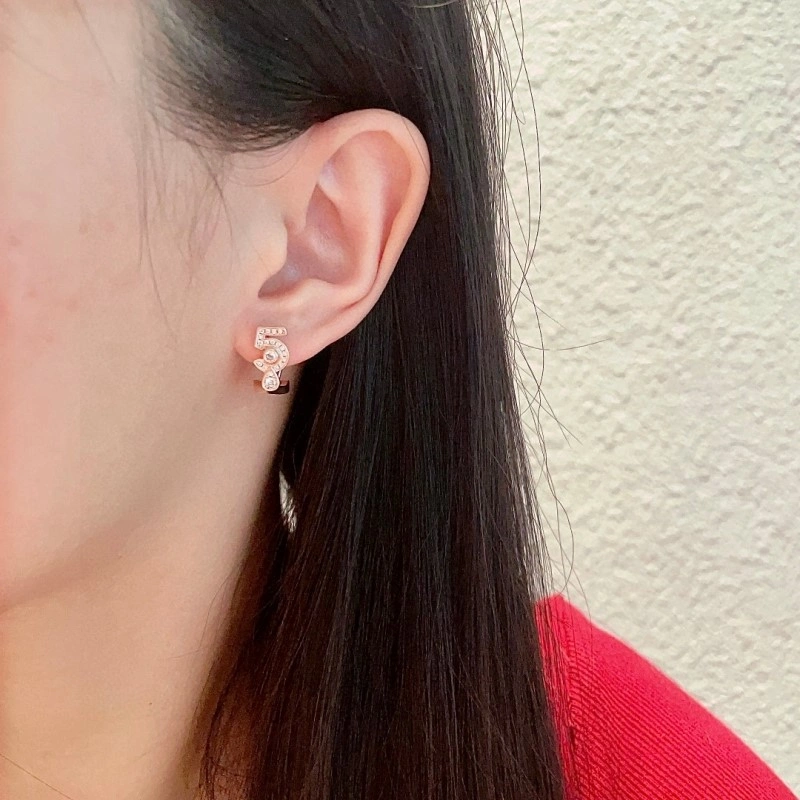 Economical Chanel Earrings