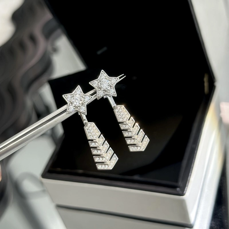 Budget-friendly Chanel Earrings