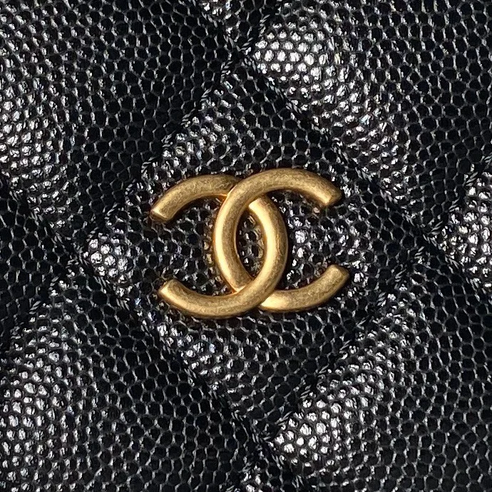 Authentic Chanel Hobo Bags