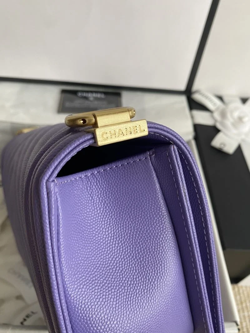 Real Chanel Leboy Series Bags