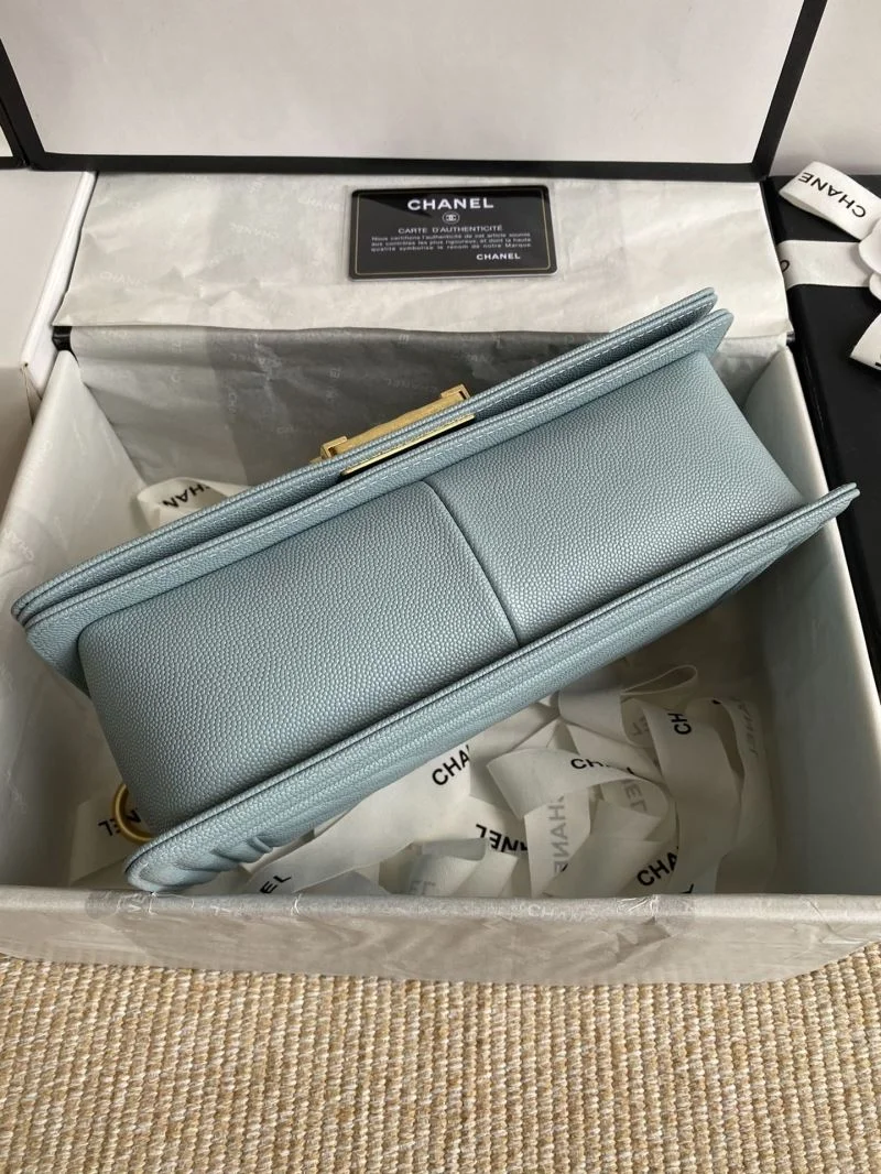 Real Chanel Leboy Series Bags