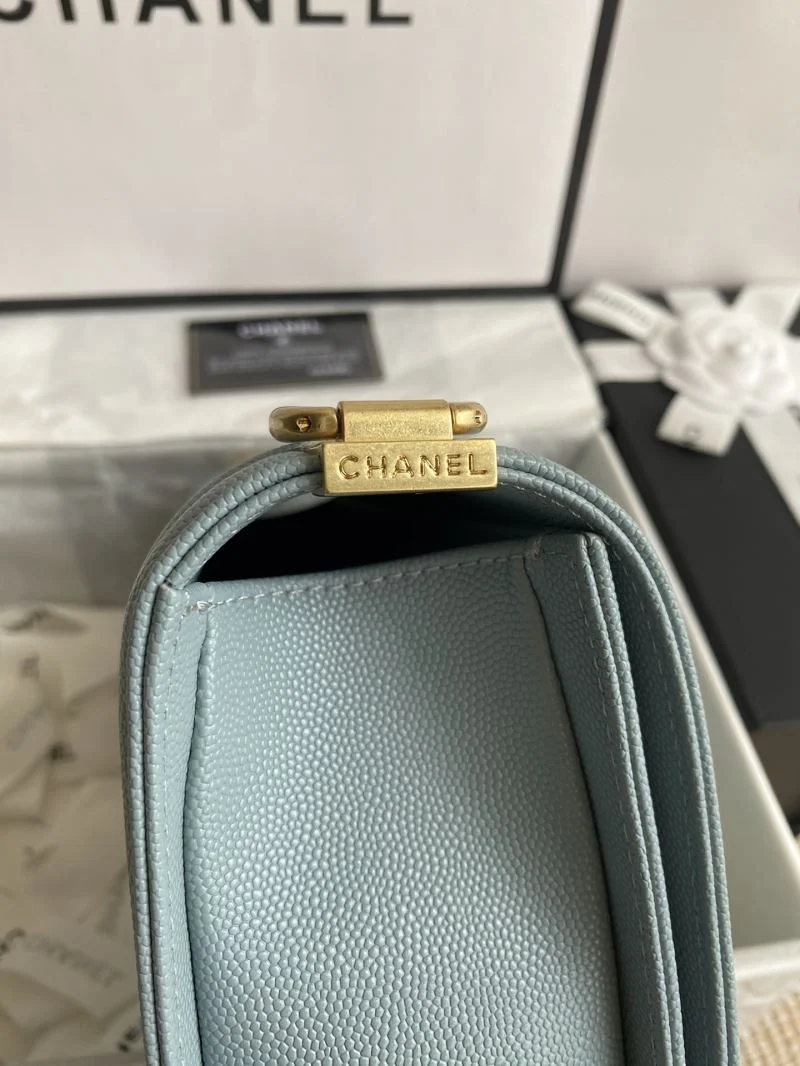 Real Chanel Leboy Series Bags