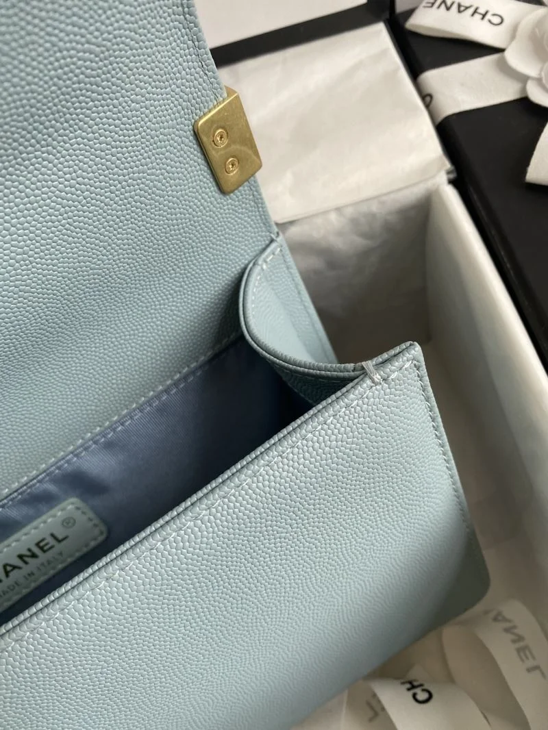 Real Chanel Leboy Series Bags