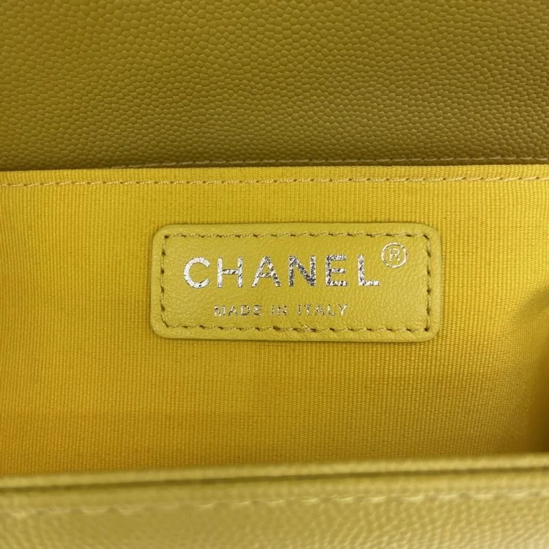 Indistinguishable Chanel Leboy Series Bags
