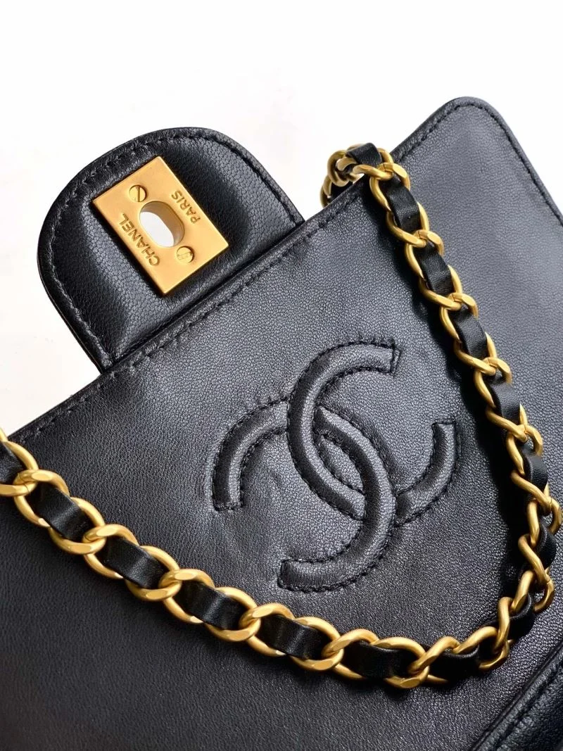 Precise copy Chanel Other Stachel Bags