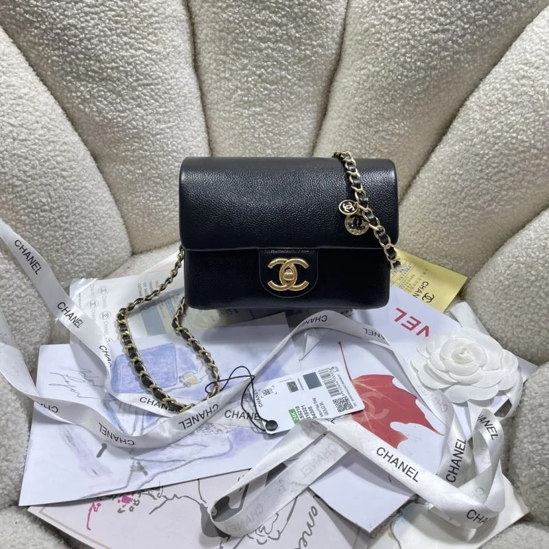 Chanel Other Stachel Bags