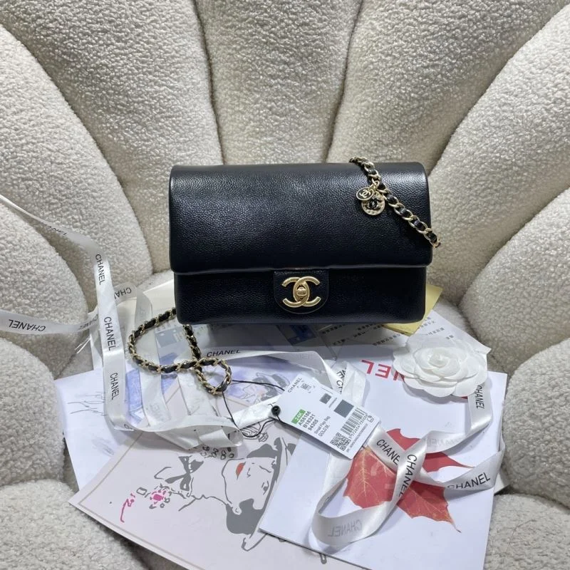 Chanel Other Stachel Bags