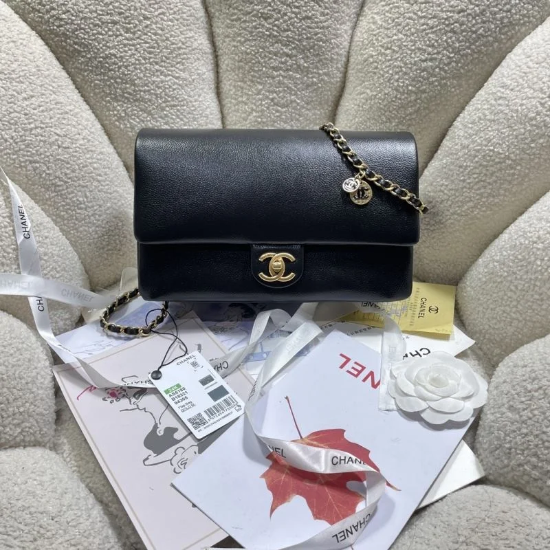 Chanel Other Stachel Bags