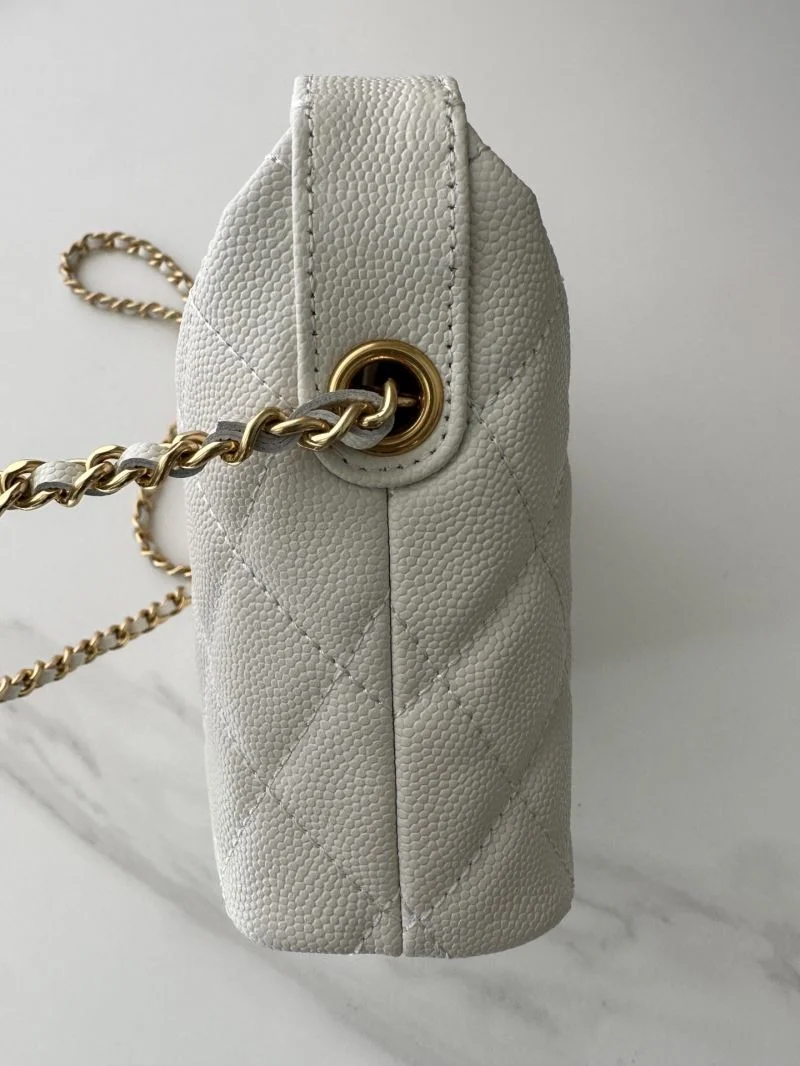1:1 copy Chanel Other Stachel Bags