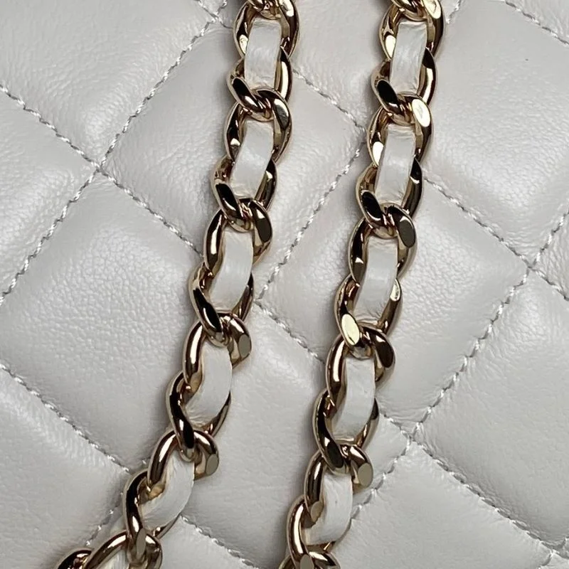1:1 copy Chanel Other Stachel Bags