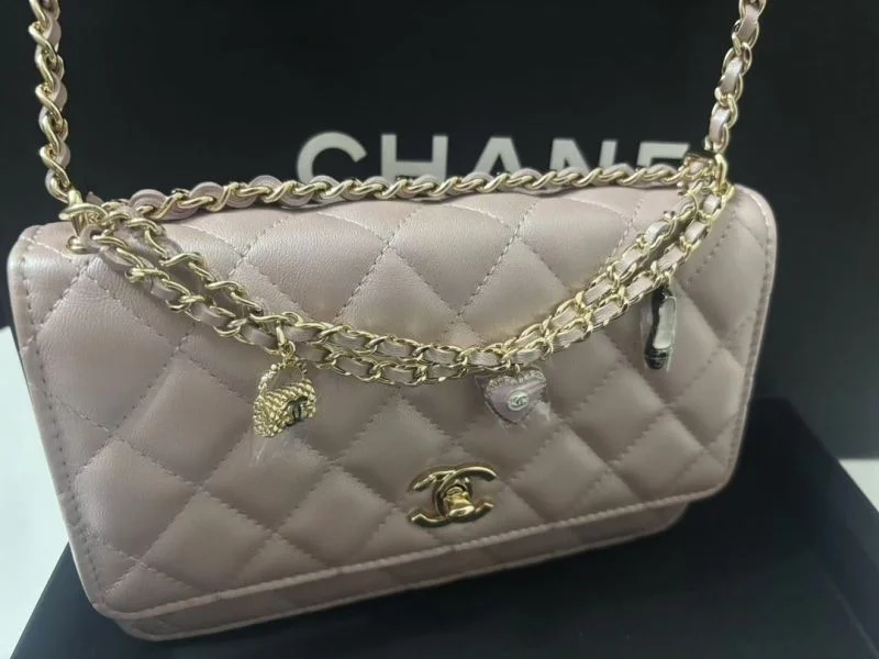 Official Chanel Other Stachel Bags