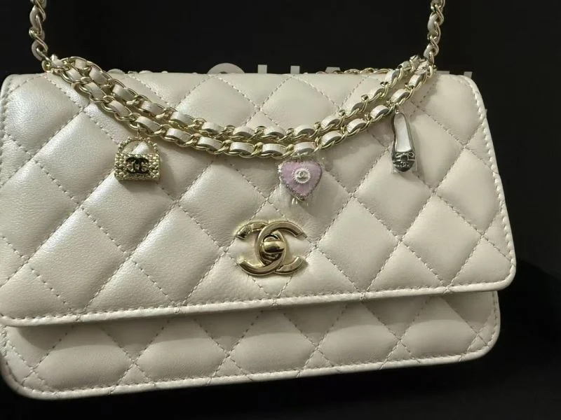 Brand-authenticated Chanel Other Stachel Bags
