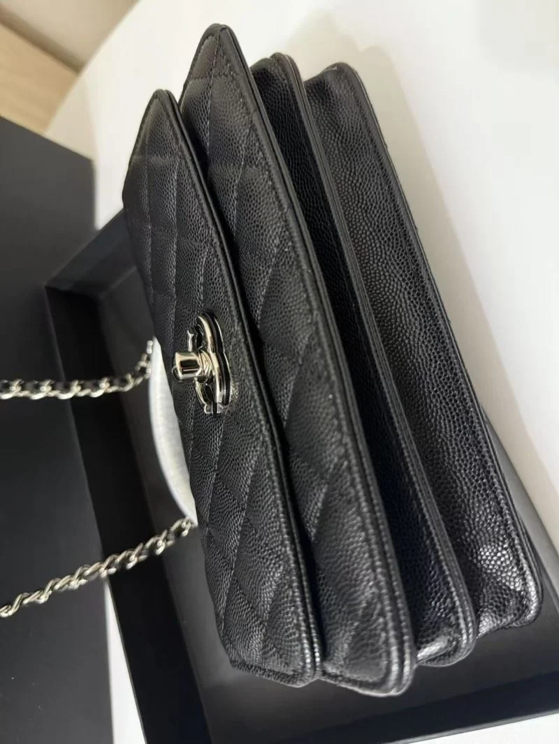 Official Chanel Other Stachel Bags