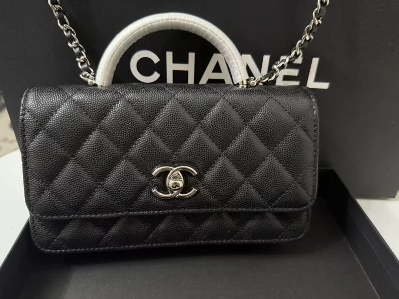 Official Chanel Other Stachel Bags