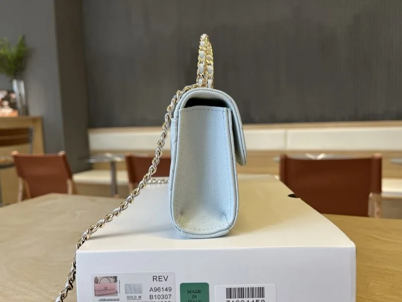 1:1 copy Chanel Other Stachel Bags
