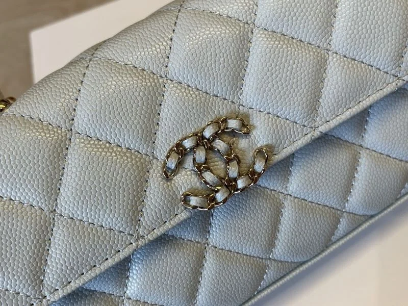 1:1 copy Chanel Other Stachel Bags