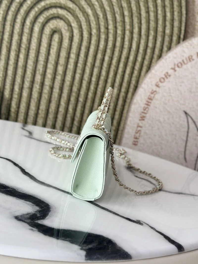 Factory-made Chanel Other Stachel Bags