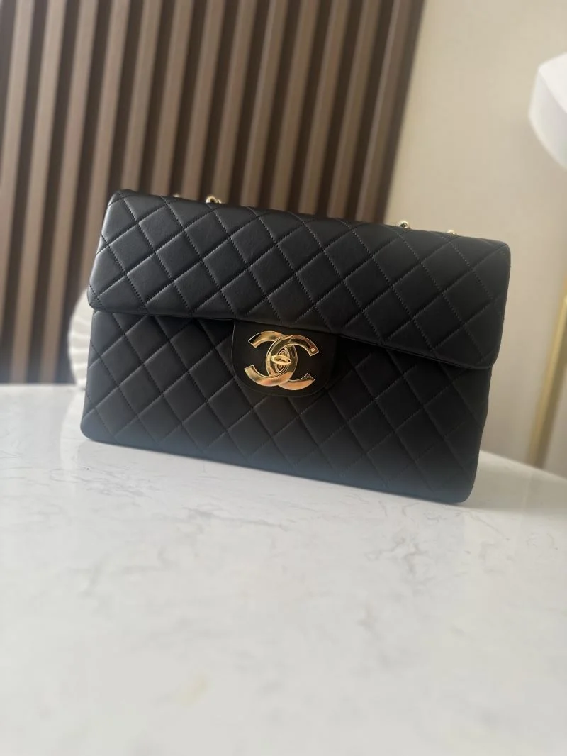 Chanel Other Stachel Bags