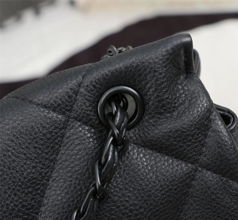 Official Chanel Other Stachel Bags