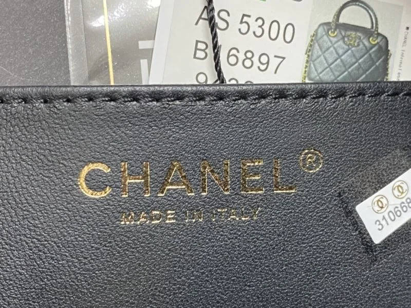 1:1 copy Chanel Top Handle Bags