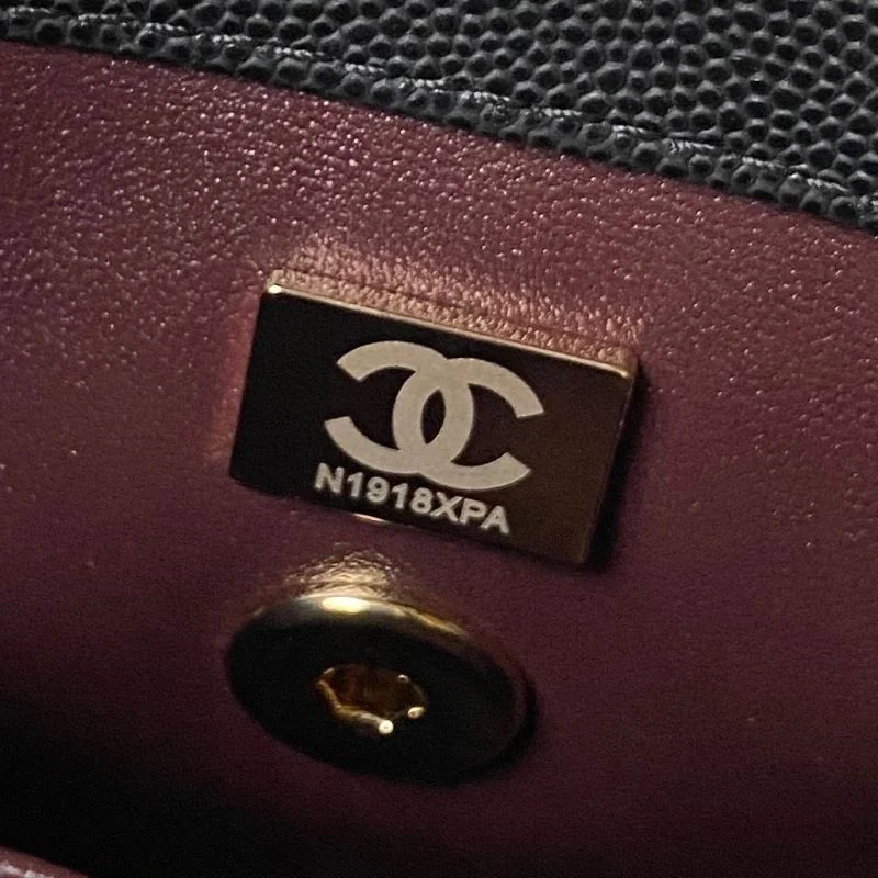 Official Chanel Top Handle Bags