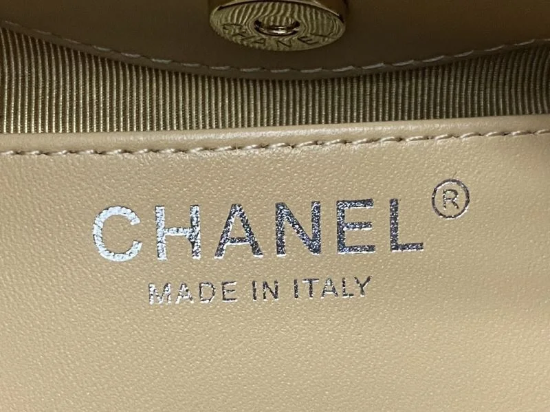 Real Chanel Top Handle Bags