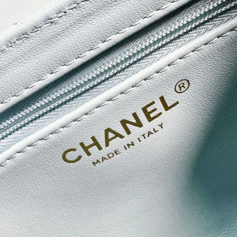 Official Chanel Top Handle Bags