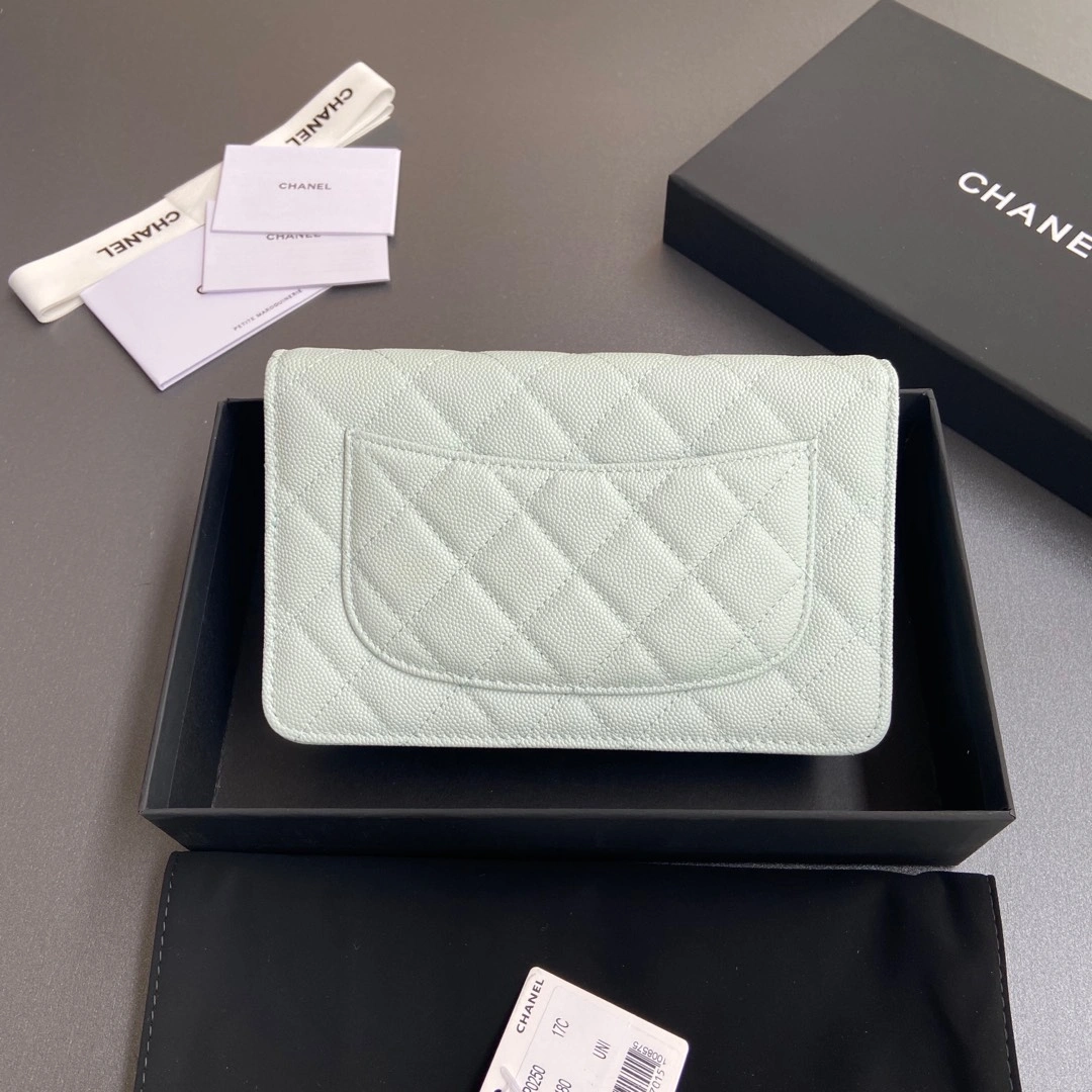 Exact replica Chanel WOC Bags