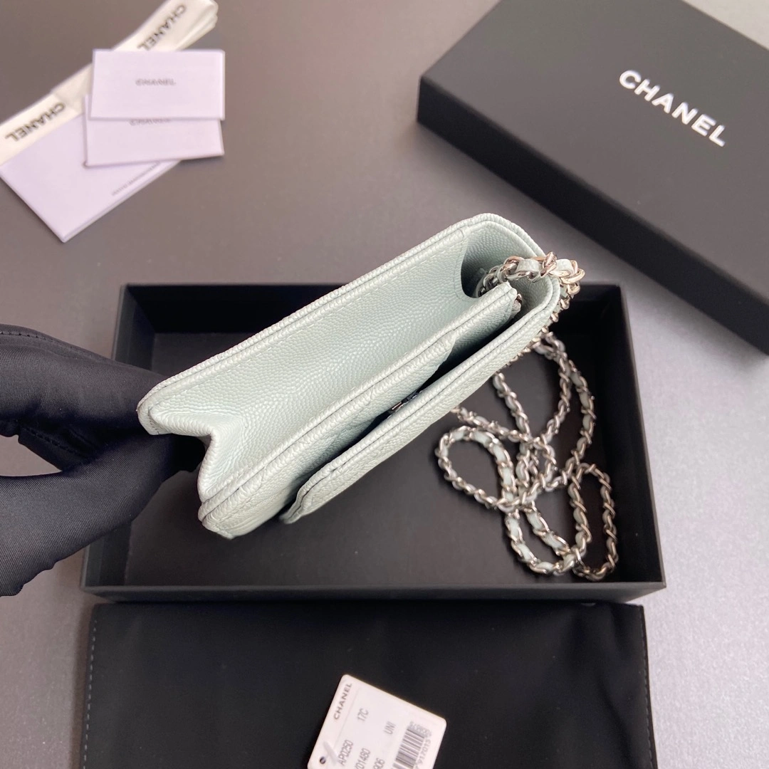 Exact replica Chanel WOC Bags