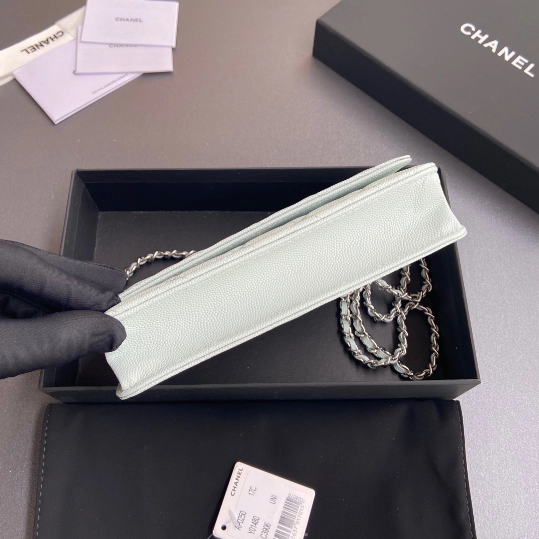 Exact replica Chanel WOC Bags