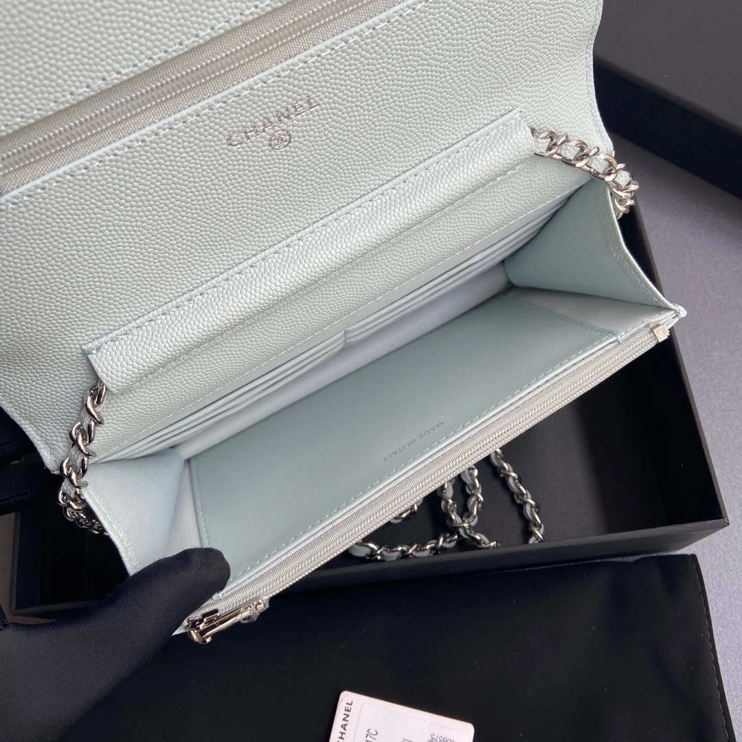 Exact replica Chanel WOC Bags