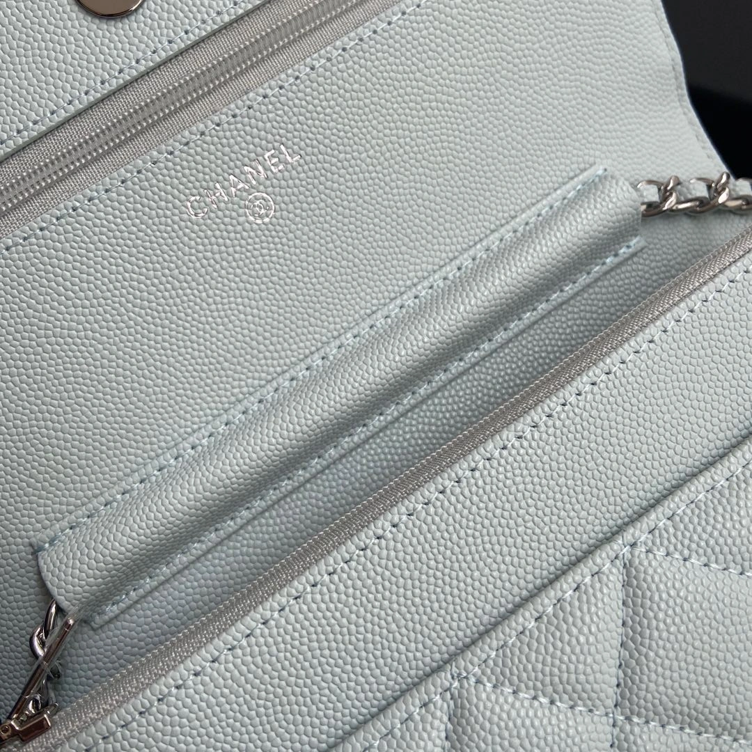 Exact replica Chanel WOC Bags