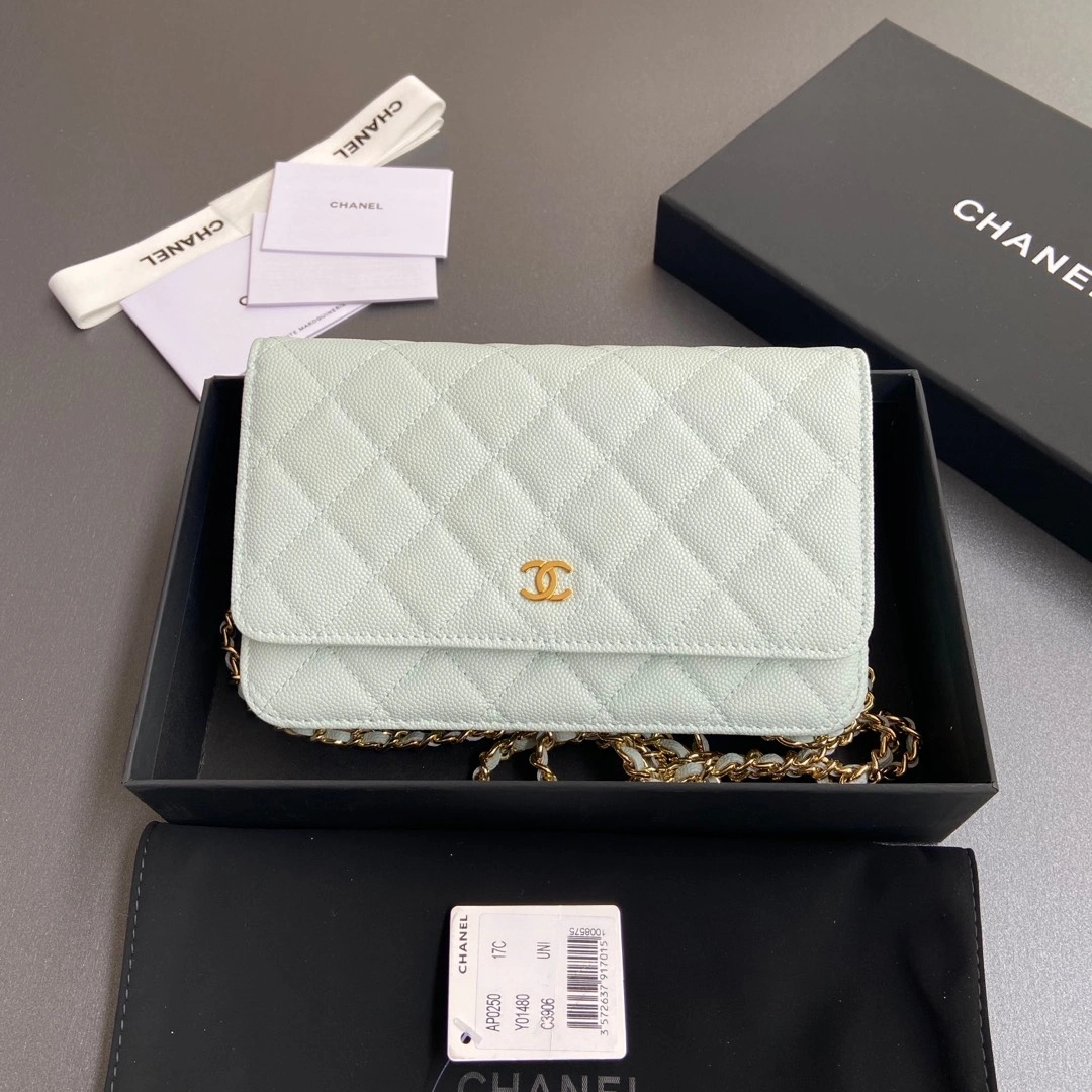 Chanel WOC Bags